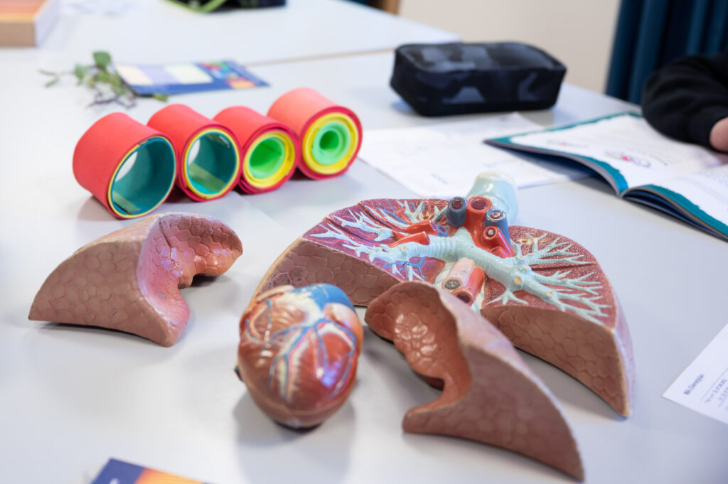 Erkrankungen der Atemwege - Fachklinik Satteldüne